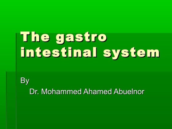 Animal Digestive System | PPT