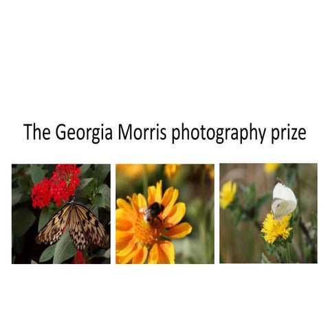 The georgia morris photography prize 1 | PPTX