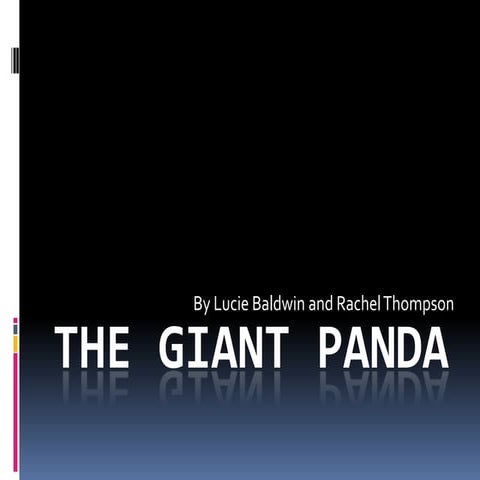 The giant panda | PPT