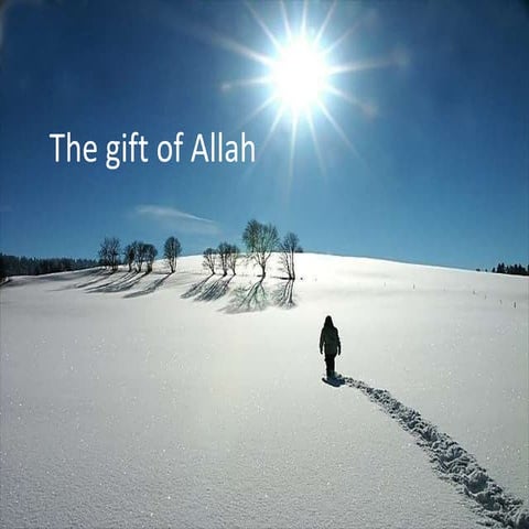 The gift of allah | PPS
