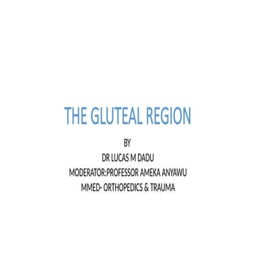 Anatomy of Gluteal Region | PPTX