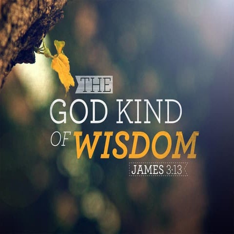 The God Kind of Wisdom | PPT