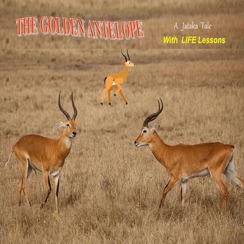 The Golden Antelope - A Jataka Tale with Life Lessons | PPT | Buddhism ...