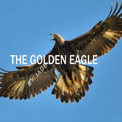 The golden eagle | PPTX