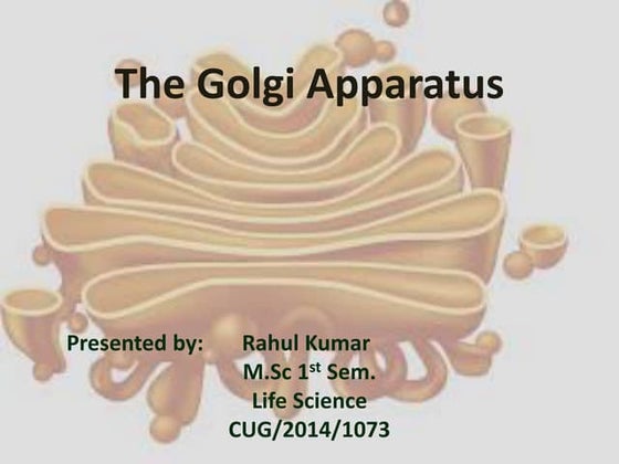 Golgi apparatus ppt (introduction structure and Function) | PPTX