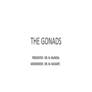THE GONADS-the development of gonads - MUNDIA.pptx