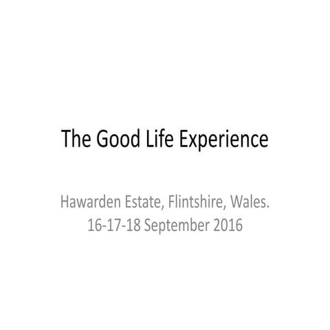 Ernesto's Good Life Experience | PPT