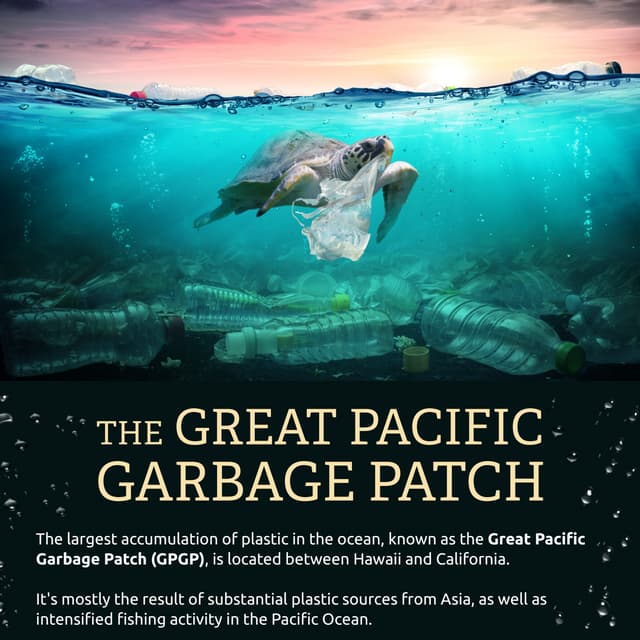 The Great Pacific Garbage Patch | PDF
