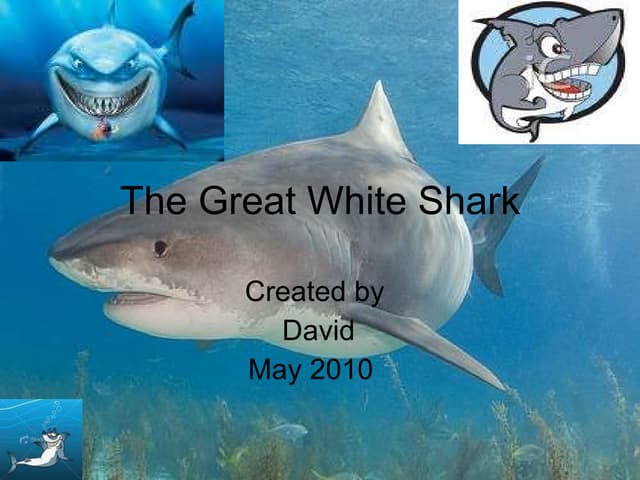 All about Sharks Great White Sharks.pdf