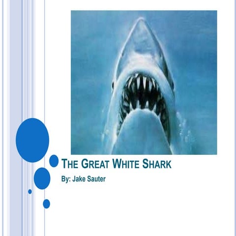 The great white shark++ | PPT