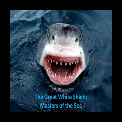The great white shark masters of the sea | PPTX