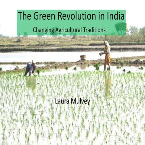 Thegreenrevolutioninindia 090420180040-phpapp01 | PPT