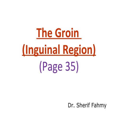 The Groin "Inguinal Region" (Anatomy of the Abdomen) | PPS
