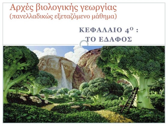 Κεφ. 6ο Κηπευτικά | PDF