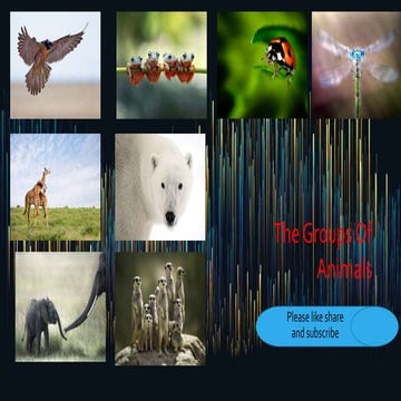 The groups of animals.pptx ---Avirat Goel | PPTX