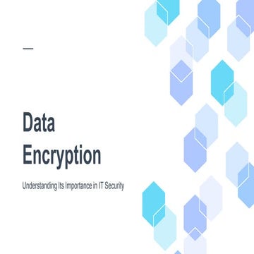 The Growing Importance of Data Encryption in IT Security.pdf