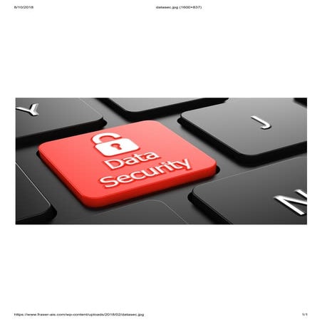 The growing importance of data security | PDF