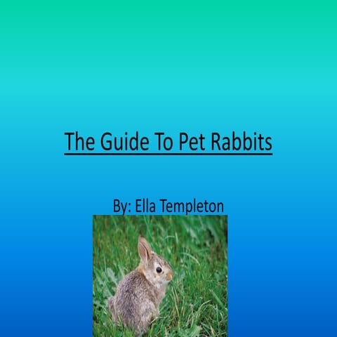 The guide to pet rabbits | PPTX