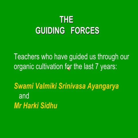 The Guiding Forces - Organic tea in Assam and Arunachal Pradesh | PPT