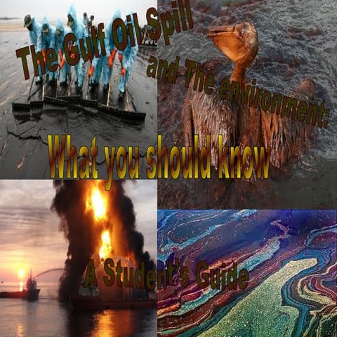 Consequences of Katrina and Murphy Oil Spill slides | PPT