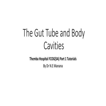 The Gut tube and body cavities.pptx