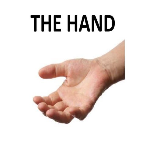 The hand | PPT