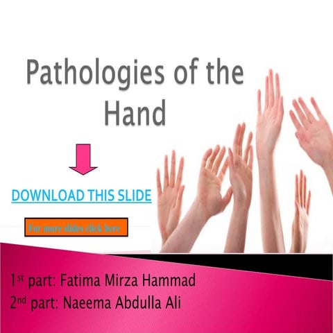 The Hand Anatomy Part 2 | PPT