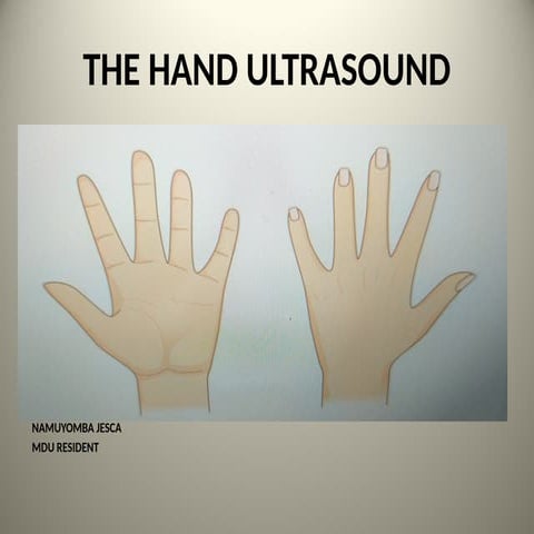 ANATOMICAL PULLEYS.ppt