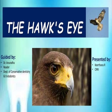 The hawk's eye | PPT