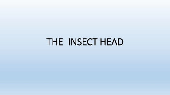 Insect head:- it’s origin, structure, function and modification in ...