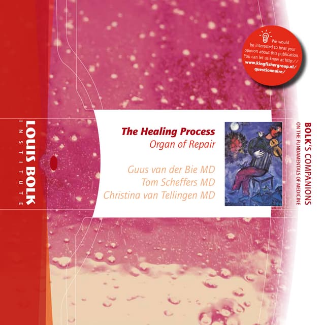 The healing process organ of repair | PDF