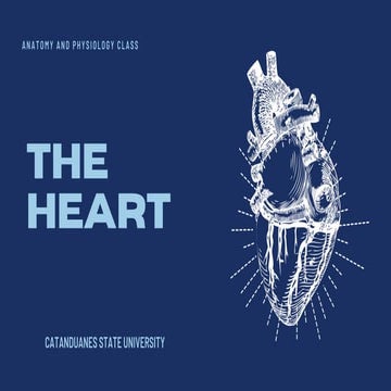 L1 HEART ANATOMY.pptx lecture on complete anatomy of heart | PPTX
