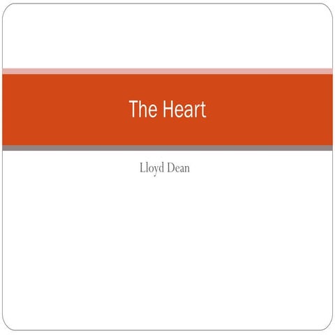 The heart conduction system | PPT