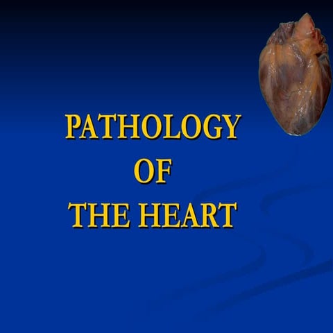 The Heart 1.ppt pathology of heart introduction | PPT
