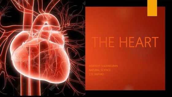 Structure and function of heart by Shashank Bandre Class 10 CBSE | PPT