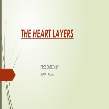 THE HEART LAYERS and their types. .pptx