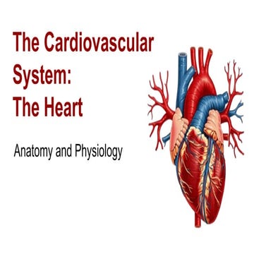The Human Heart: Anatomy & Physiology of the Cardiovascular System | PDF