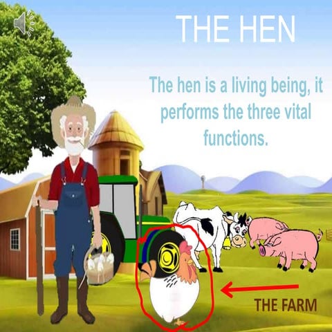 The Anatomy and Function of a Hen's Reproductive System | PPTX