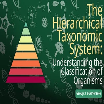 The Hierarchical Taxonomic System (A Ranking System for Biodiversity ...