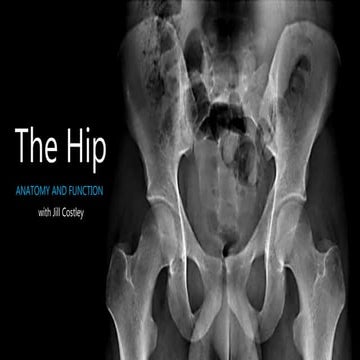 The Pelvis and Hip: Function and Anatomy | PPTX