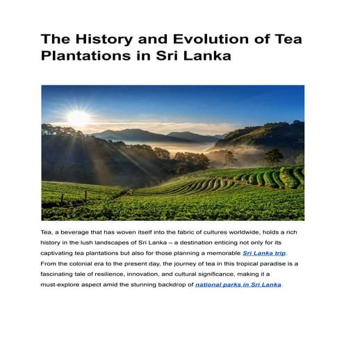 The History and Evolution of Tea Plantations in Sri Lanka.pdf