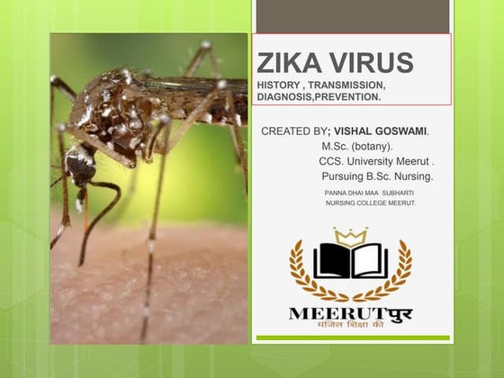 Zika Virus Epidemiology | PPT