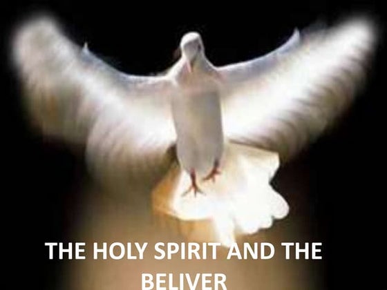 Human Spirit/Holy Spirit, part of the Holy Spirit, the living Spirit ...