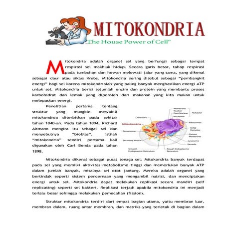 Mitokondria - The House Power of Cell | PDF