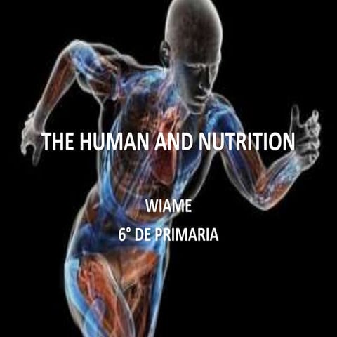 The human and nutrition | PPTX