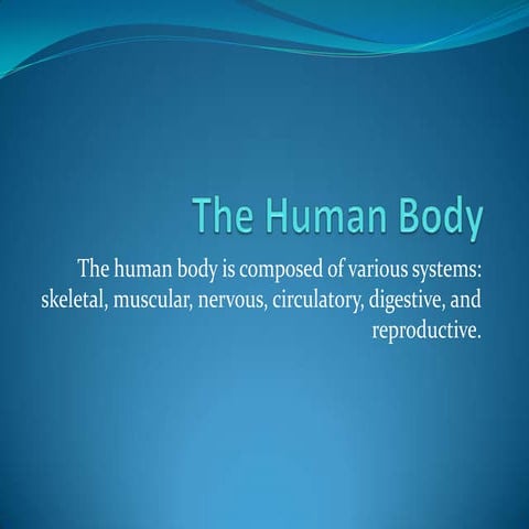 The human body | PPTX