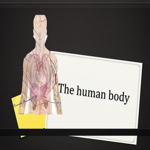The Human Body | PPS | Nail Care | Beauty