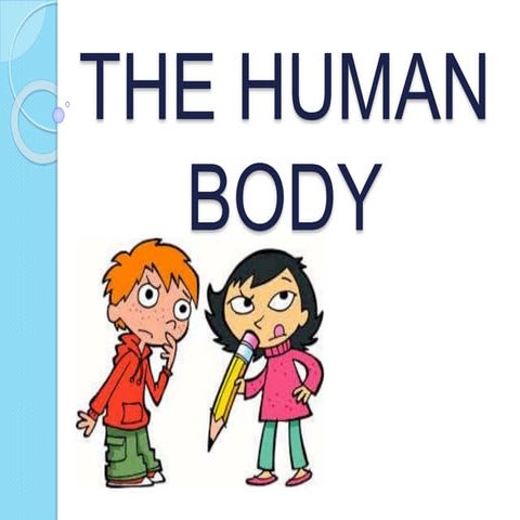 The human body | PPT