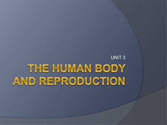 The human body and reproduction | PPT