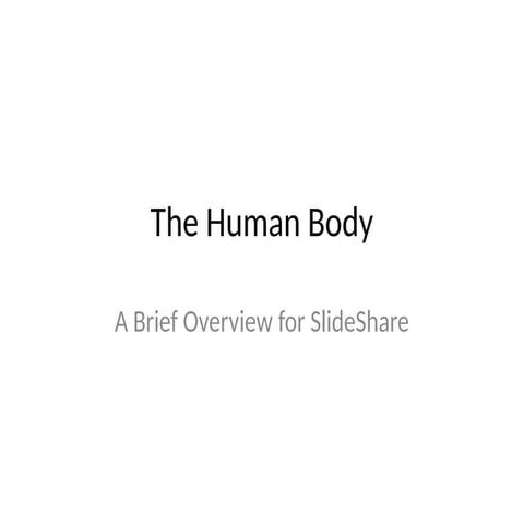 Comprehensive Overview of the Human Body Systems: Skeletal, Nervous ...